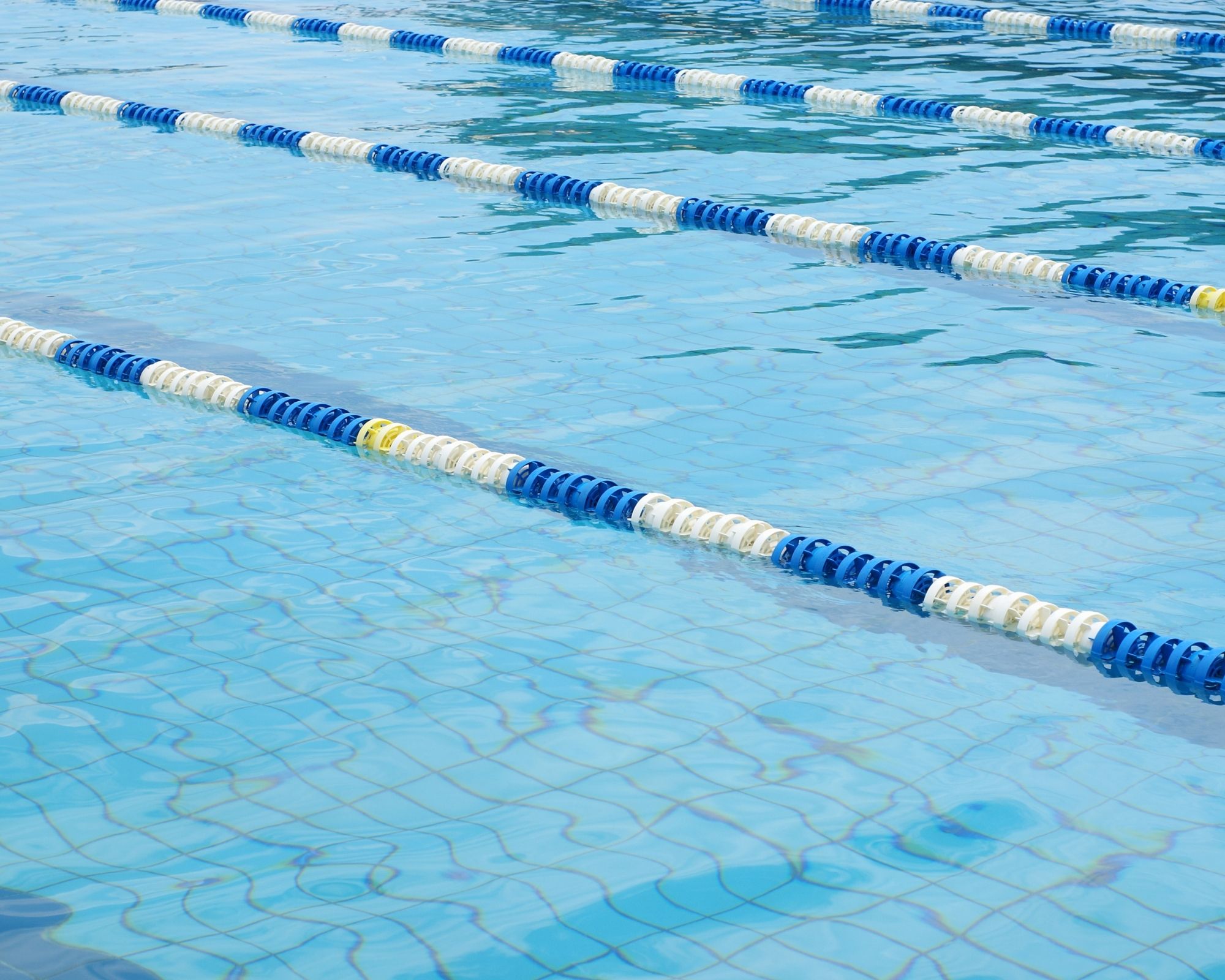 Lane Swimming • Livewire