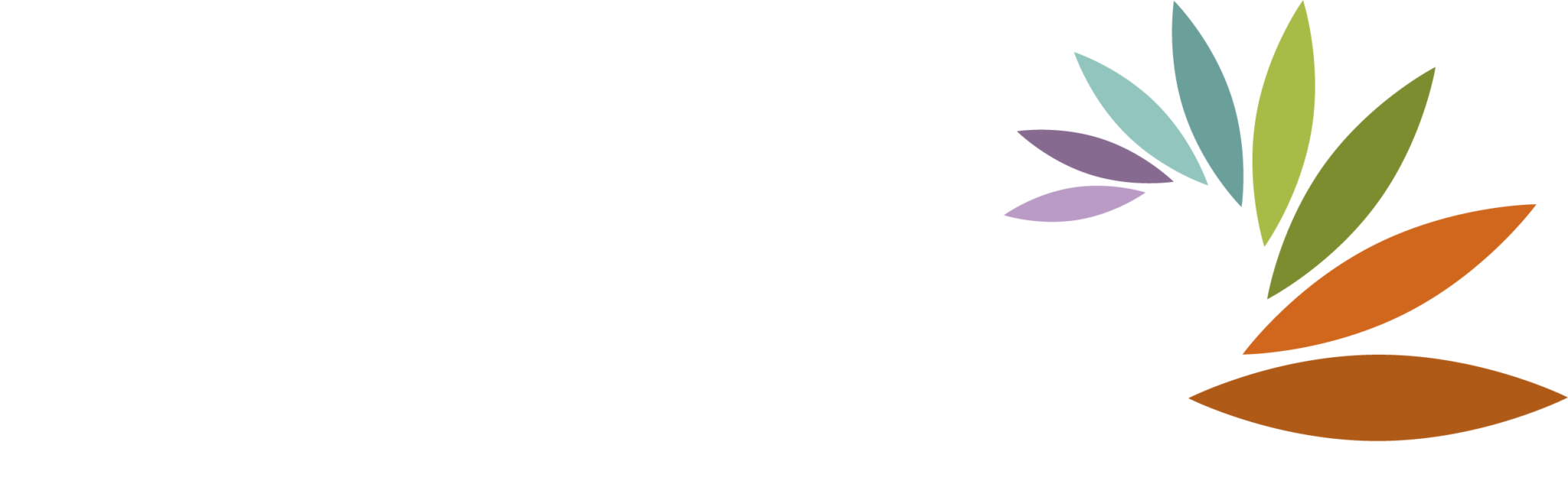 LiveWire's 10 Year Anniversary • Livewire